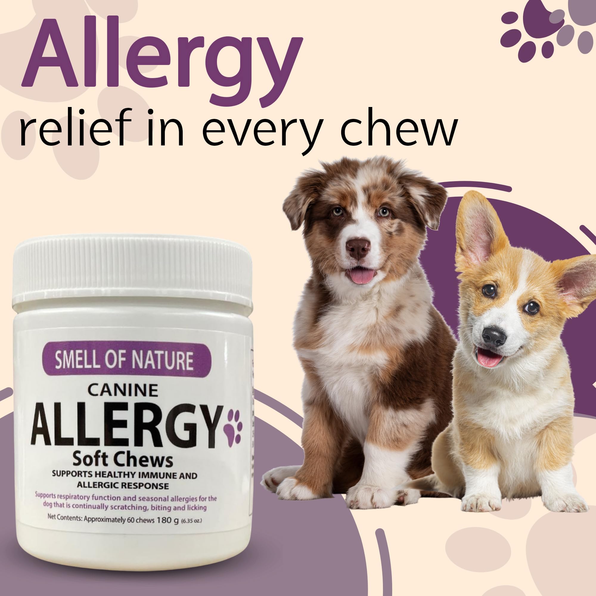 immune boosting dog supplements