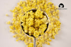 immune-boosting dried flower tea