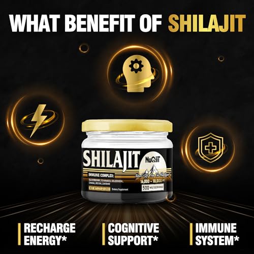 immune boosting echinacea and chaga