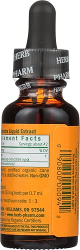 immune boosting echinacea drops