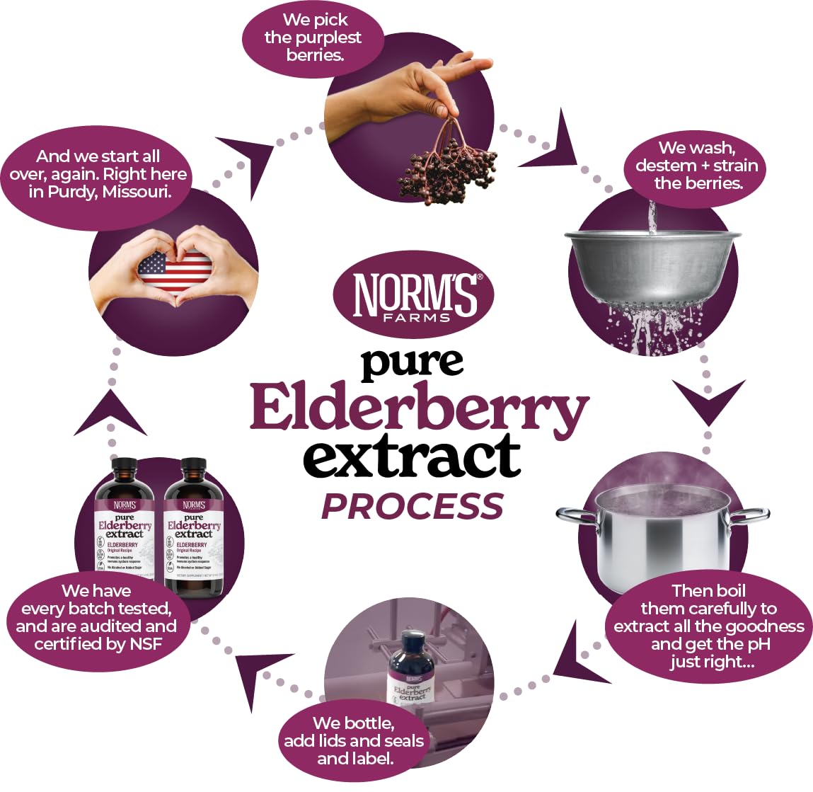 immune-boosting elderberry extract for families