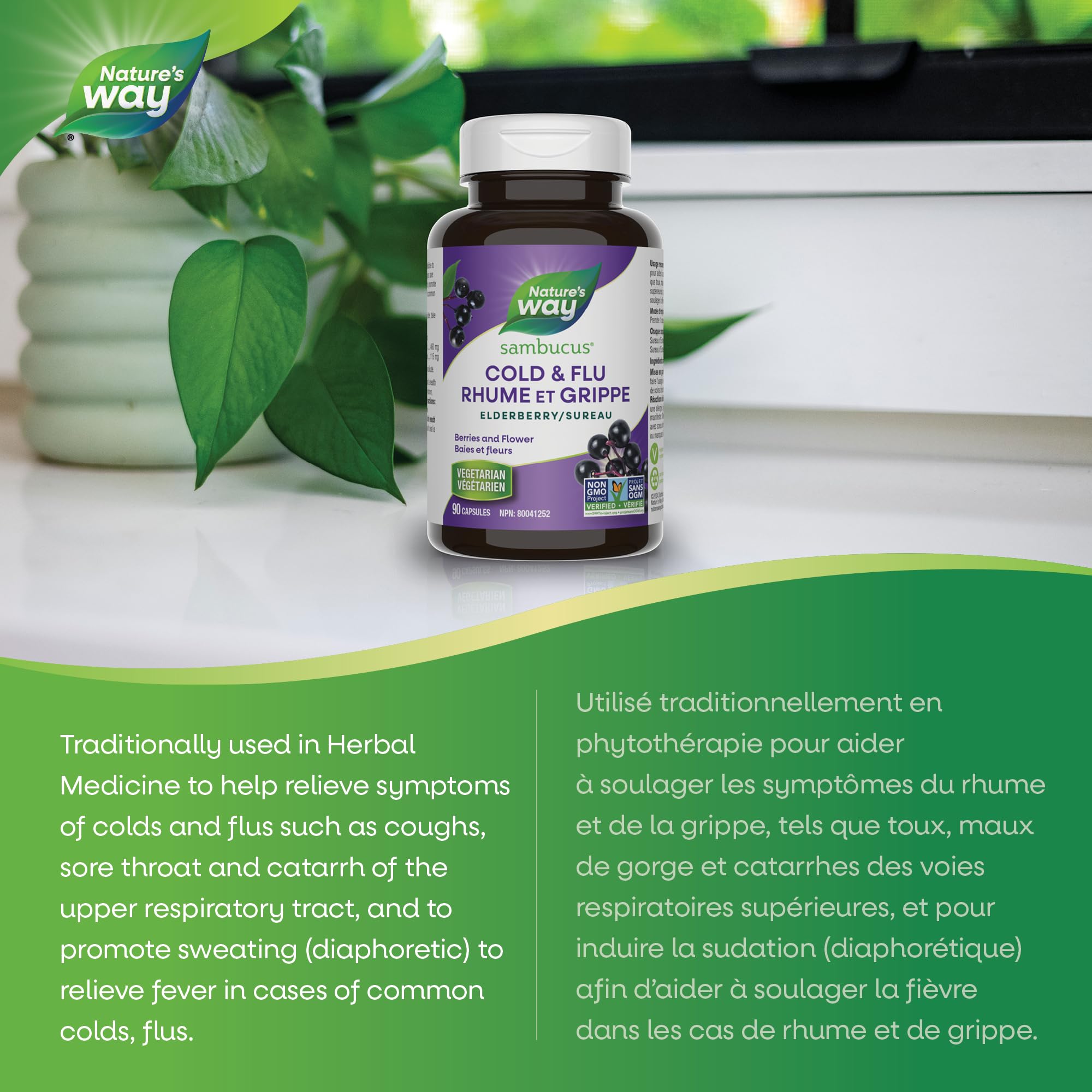 immune-boosting elderberry extract
