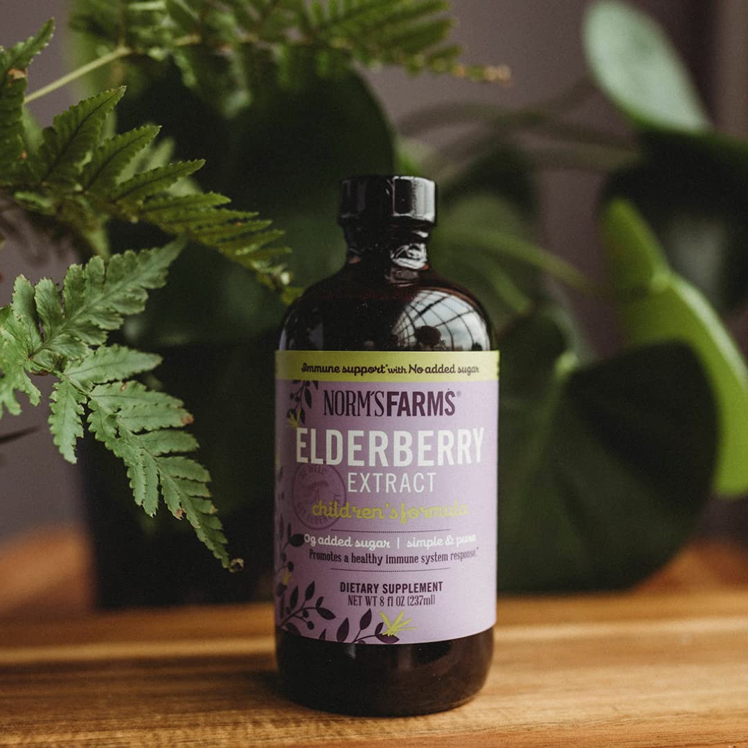 immune boosting elderberry for kids
