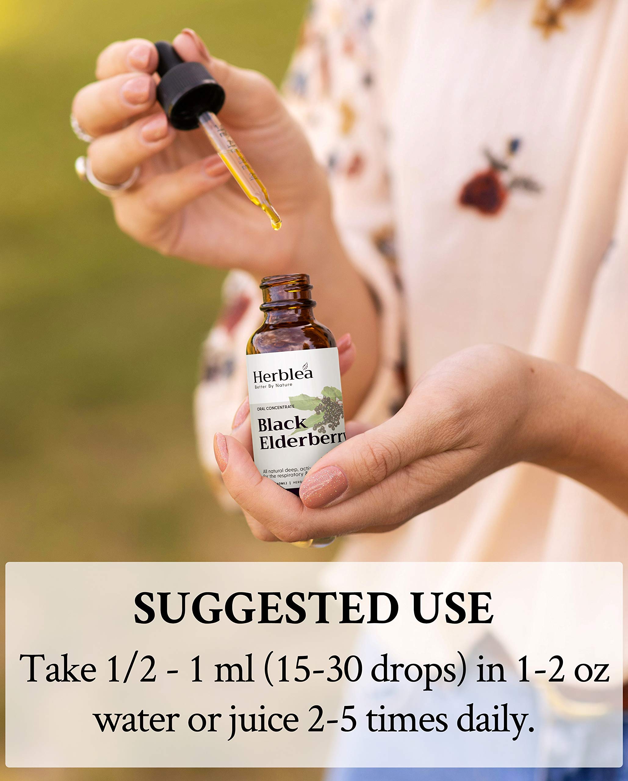 immune-boosting elderberry liquid extract
