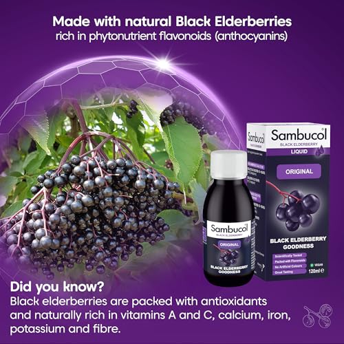 immune boosting elderberry supplement