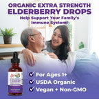 immune boosting elderberry supplement