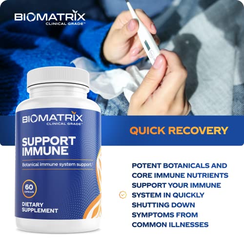 immune boosting elderberry vitamin blend