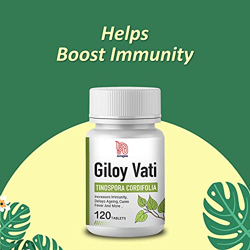 immune boosting mineral supplements