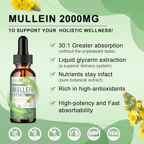 immune boosting mullein drops