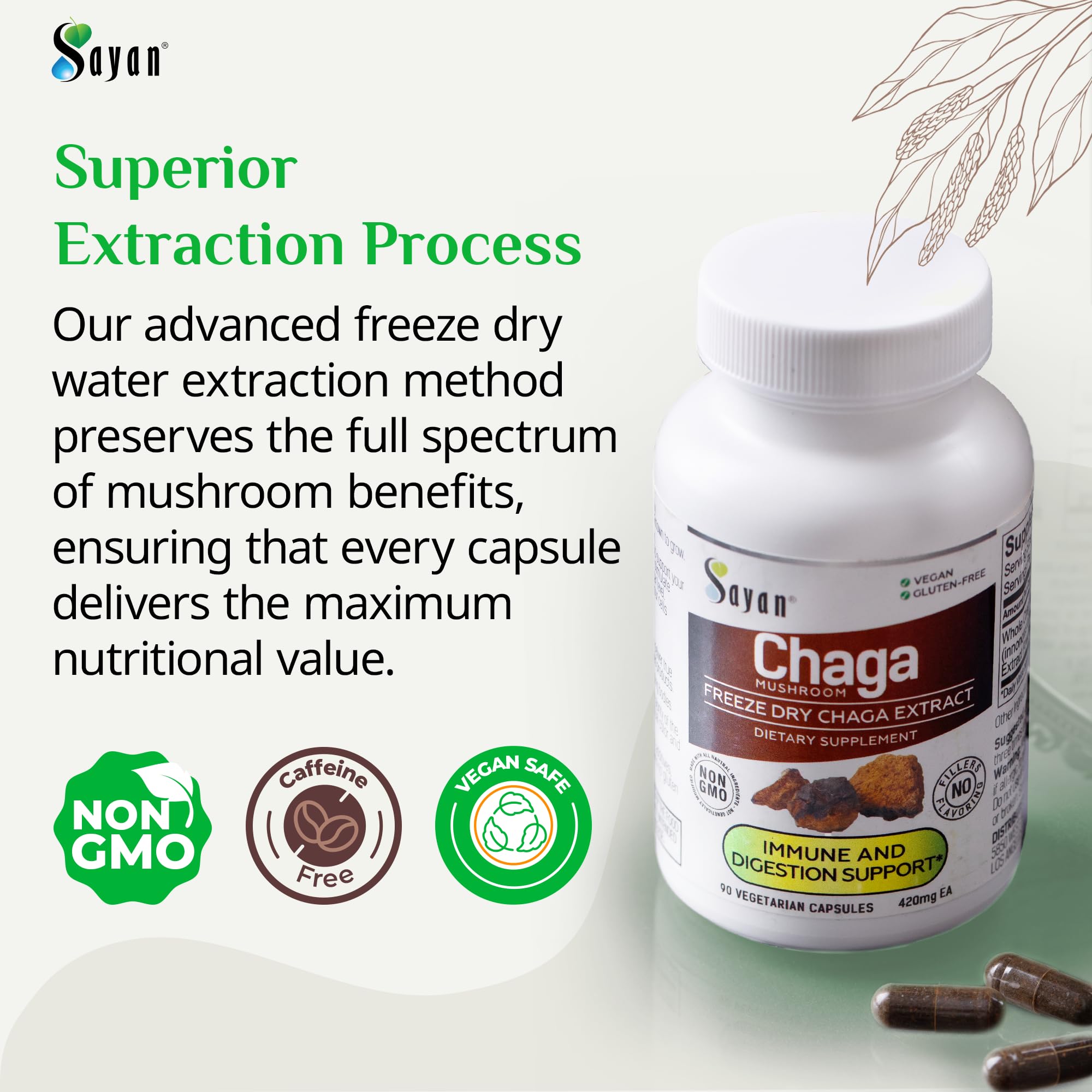 immune-boosting mushroom extract