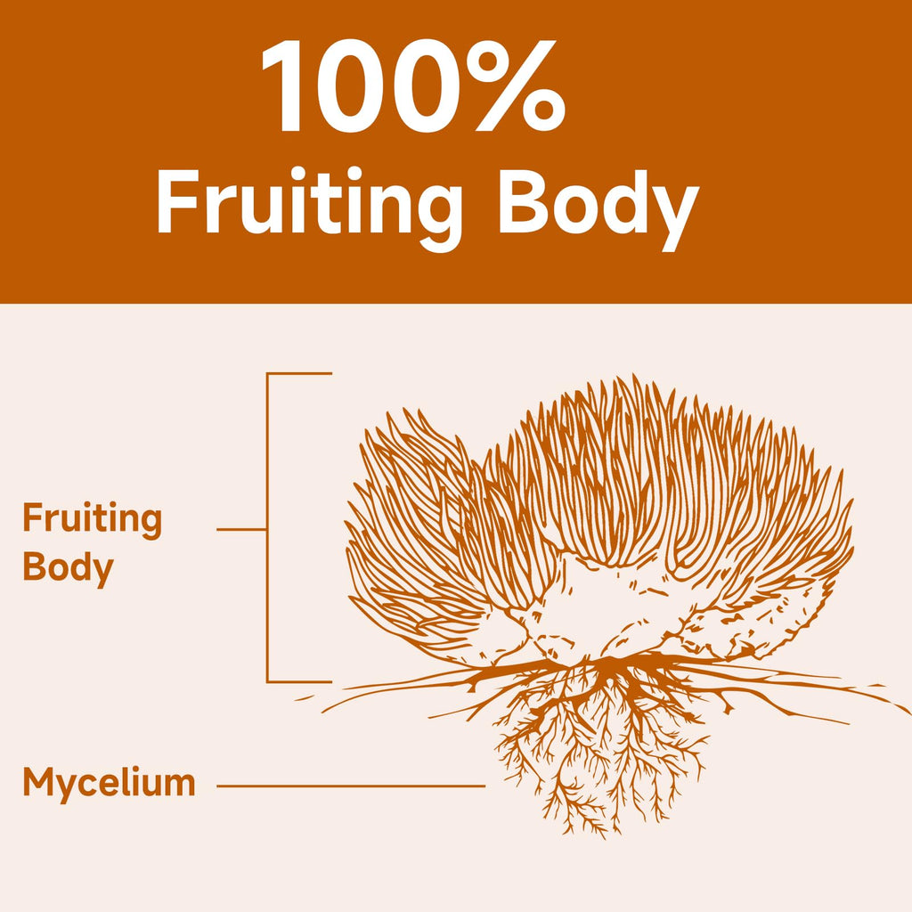 Immune boosting mushroom extract