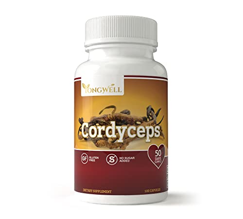 immune boosting mushroom supplement benefits