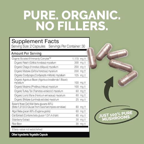 immune-boosting mushroom supplement benefits