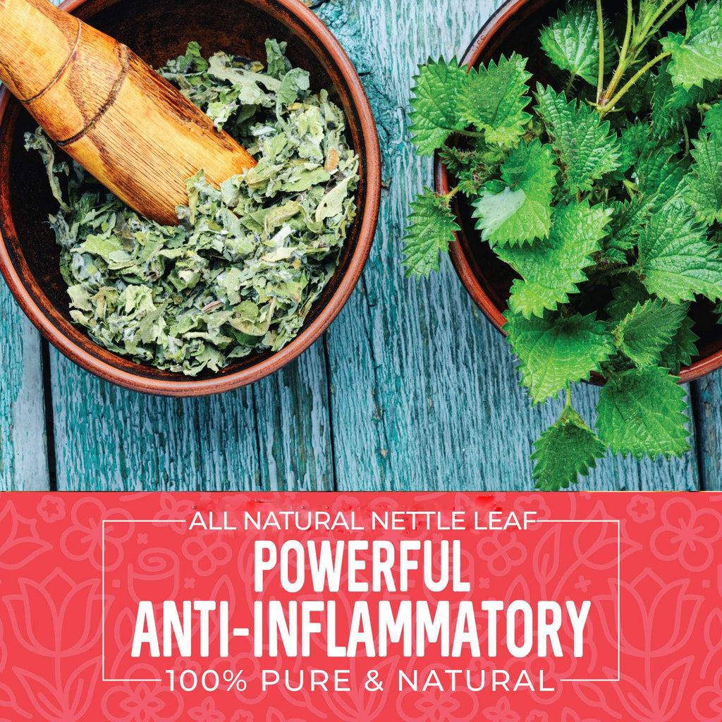 immune boosting nettle tea benefits