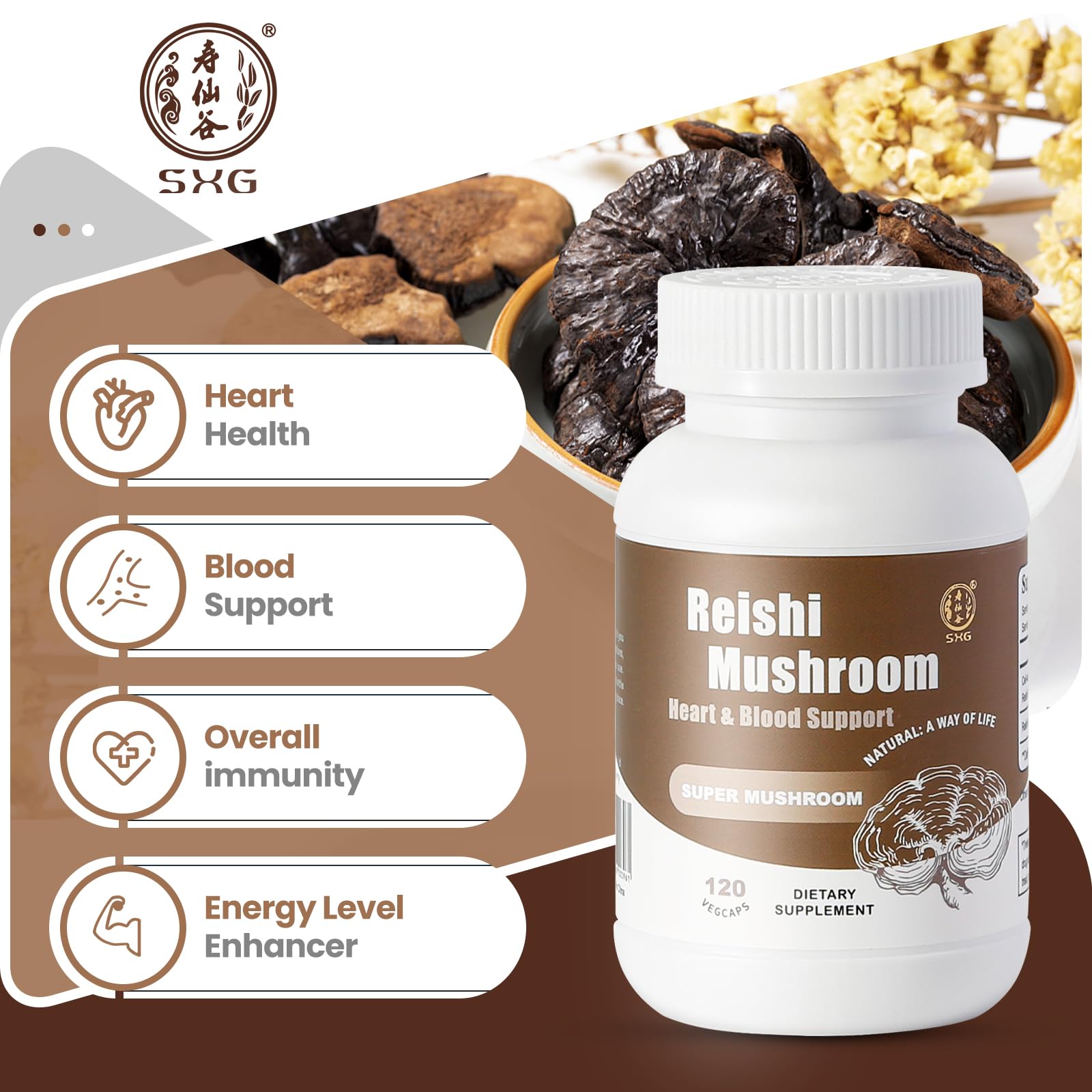 immune boosting organic mushroom capsules