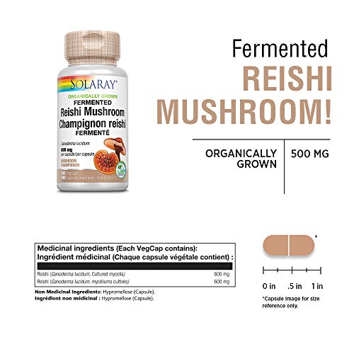 Immune-boosting Reishi mushroom supplement
