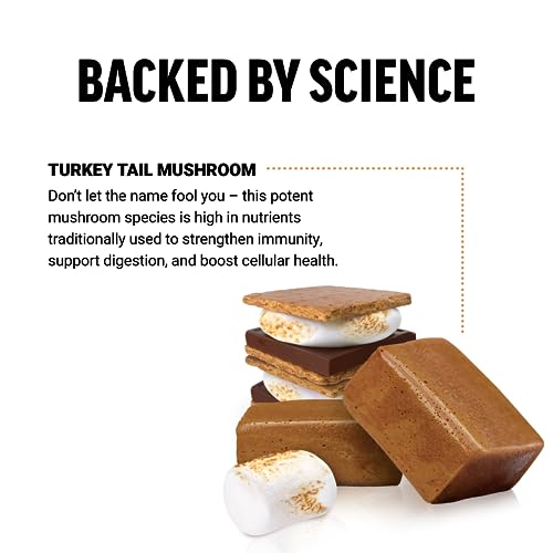 Immune boosting turkey tail mushrooms