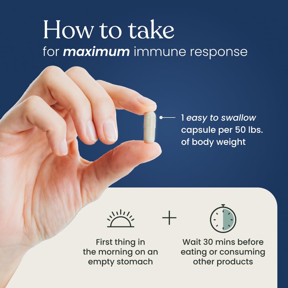 immune defense capsules for daily use