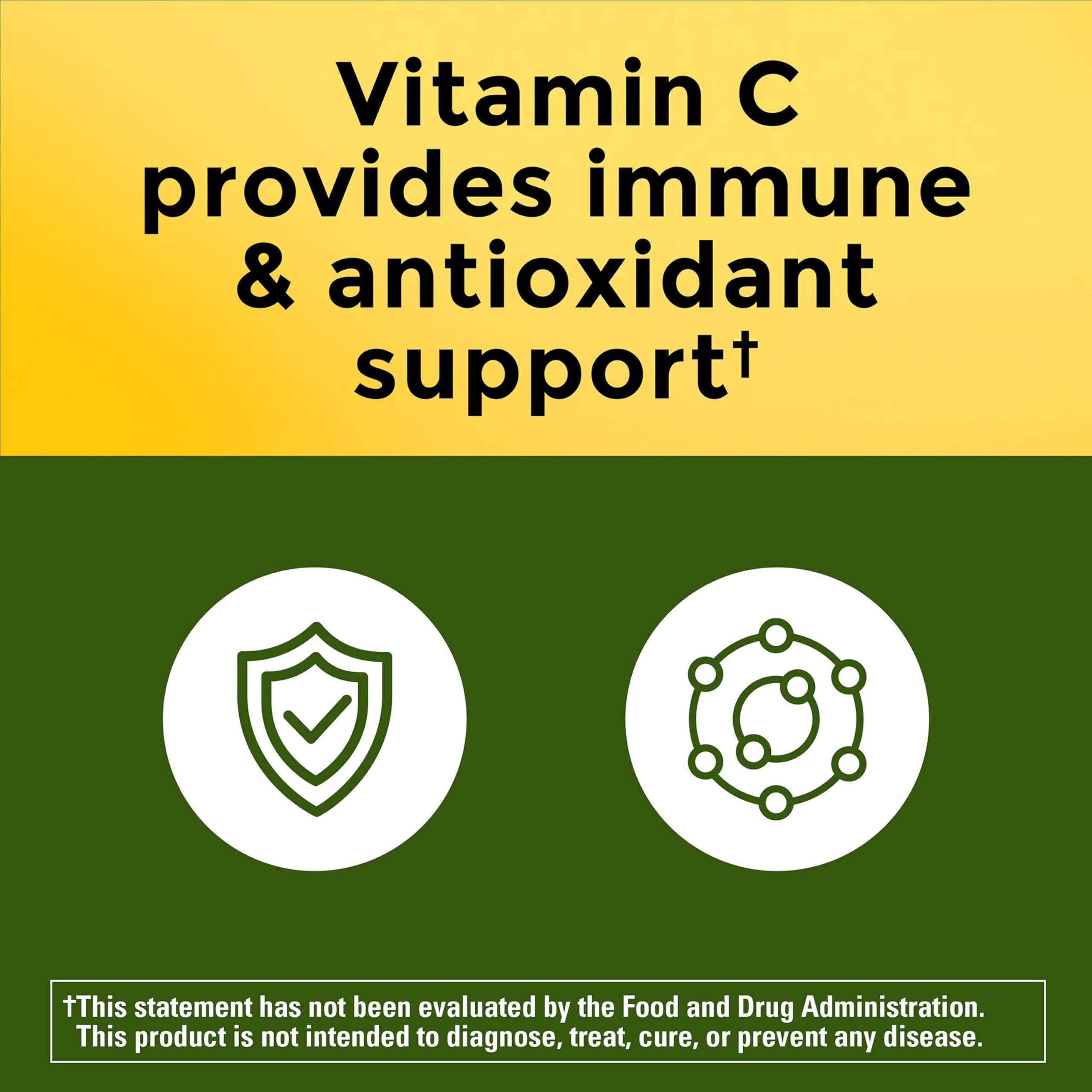 Immune function support with cranberry
