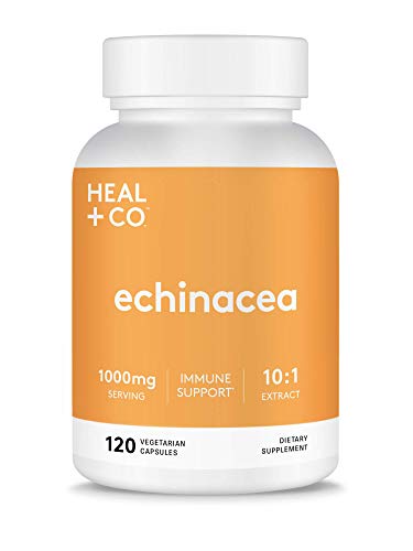 immune health support echinacea supplement