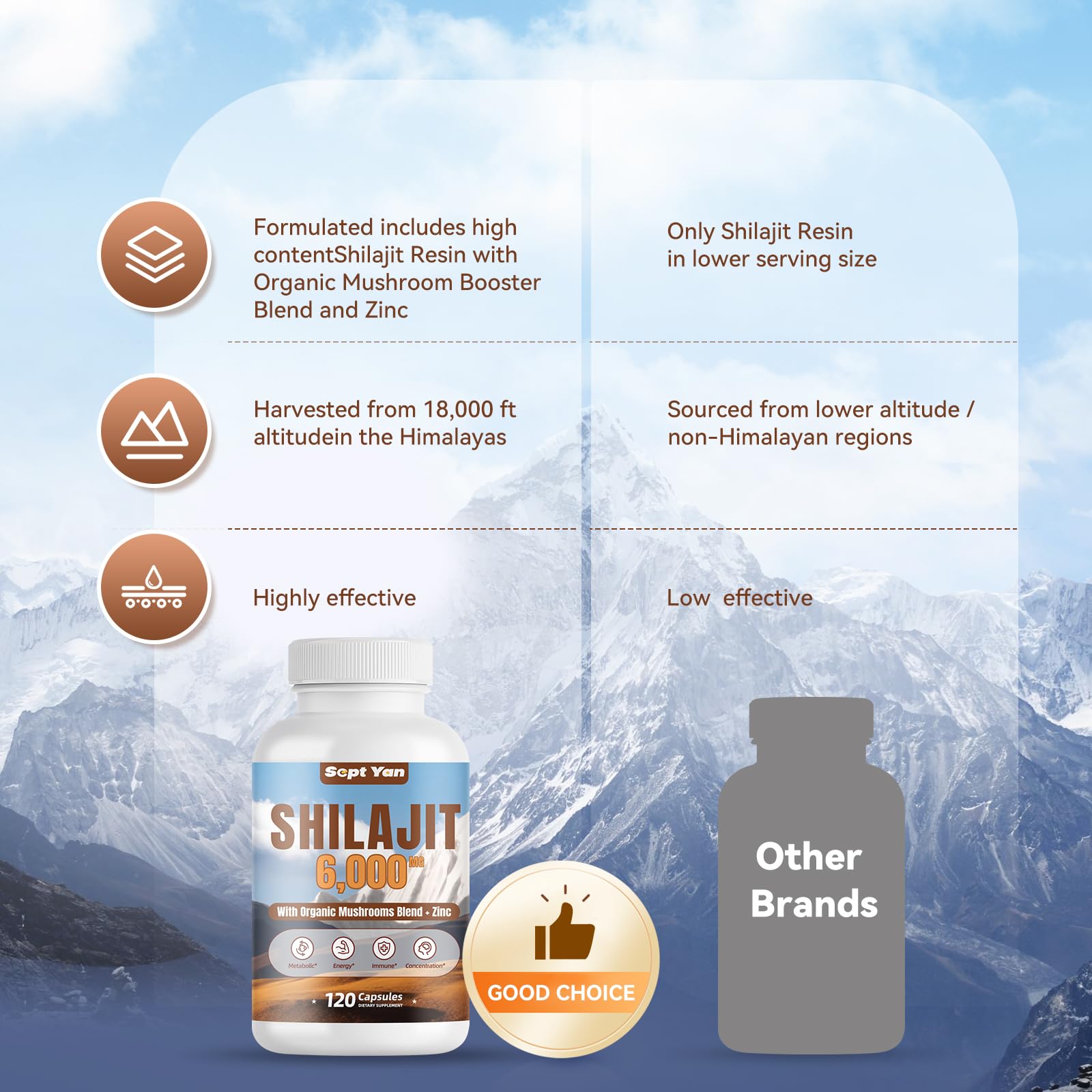 immune health support with shilajit