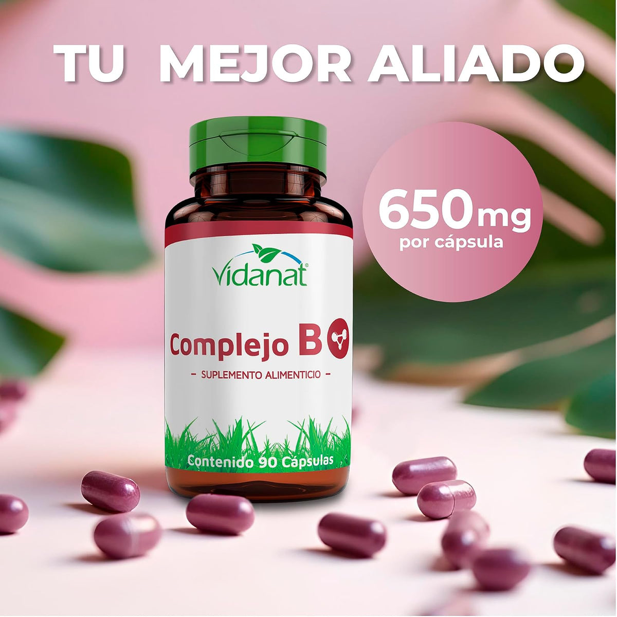 immune health vitamin B complex