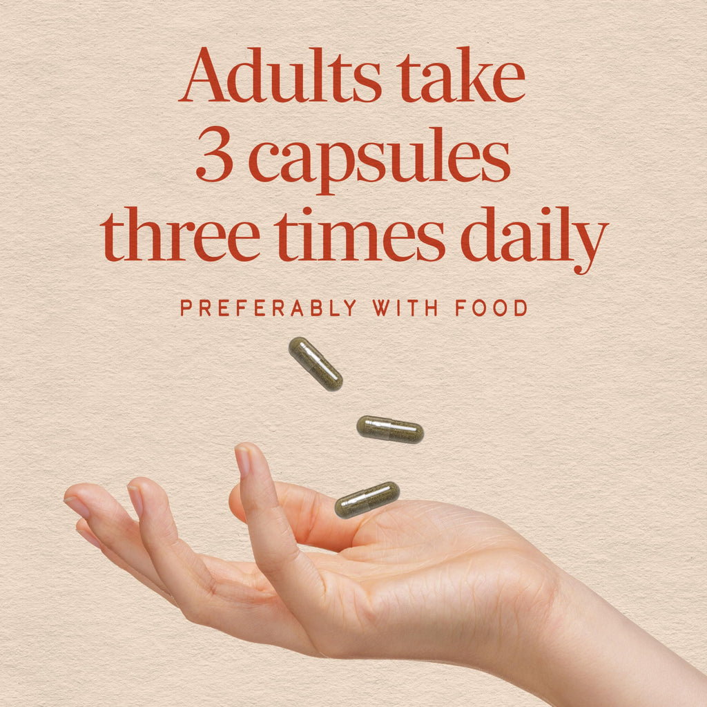 immune health with echinacea extract