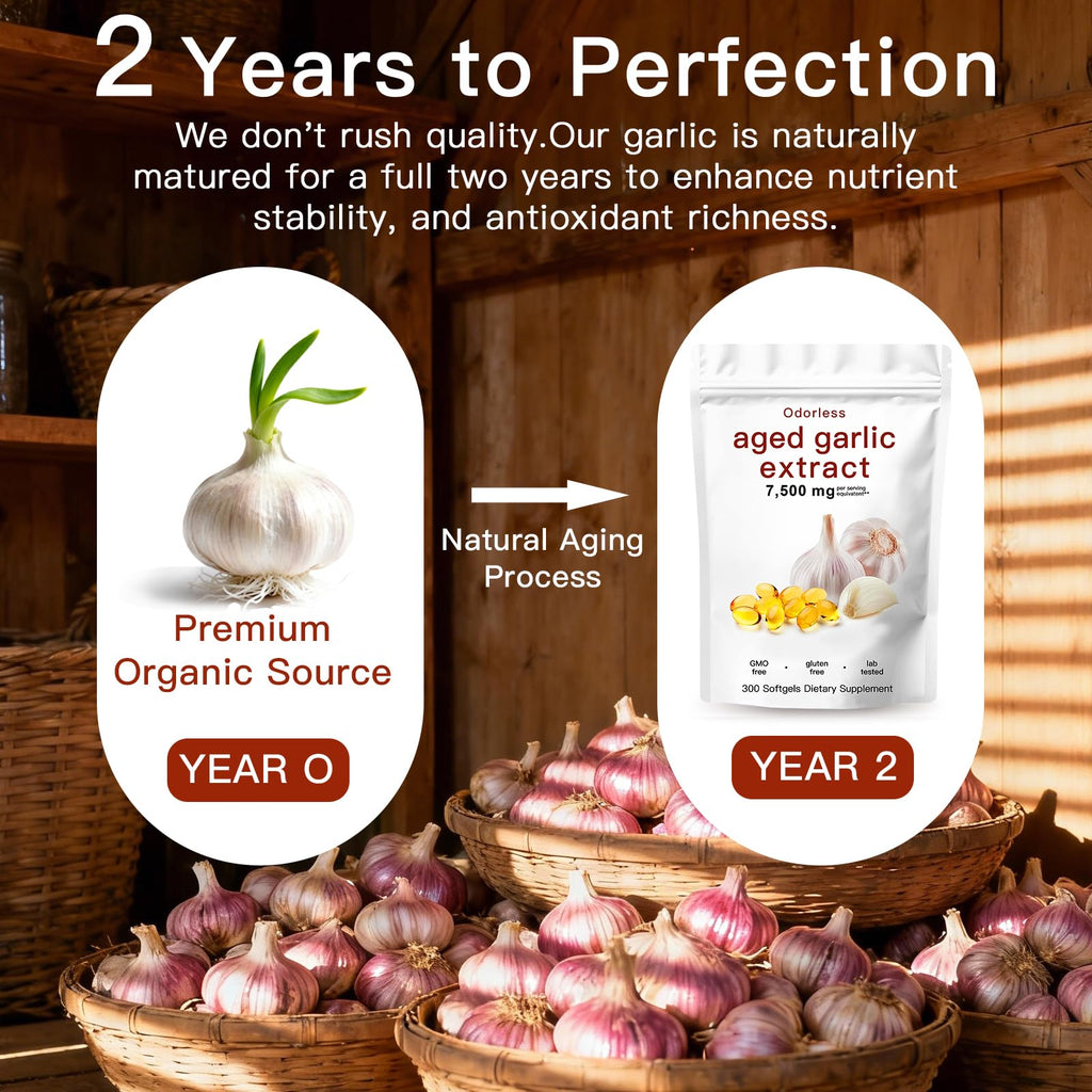 immune support aged garlic extract