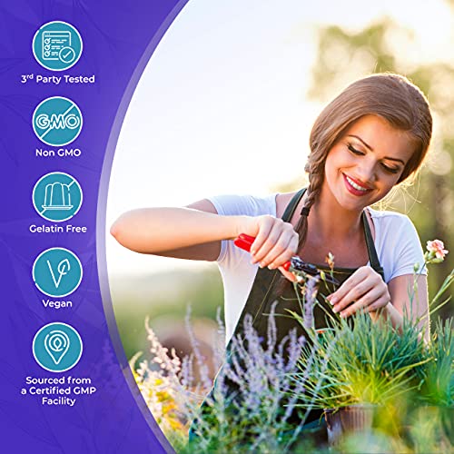 immune support ashwagandha vitamin supplements