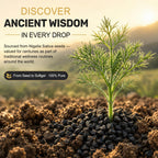 immune support black seed oil