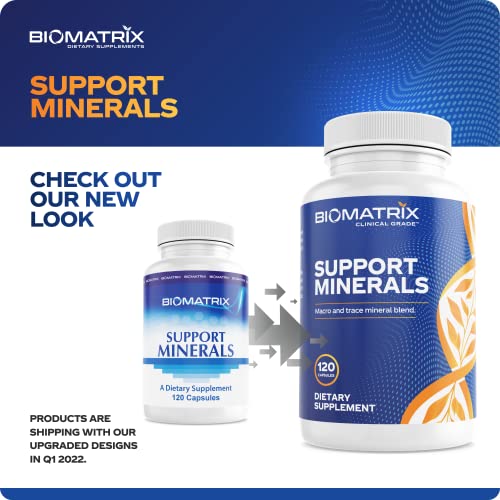 immune support blended vitamin formula