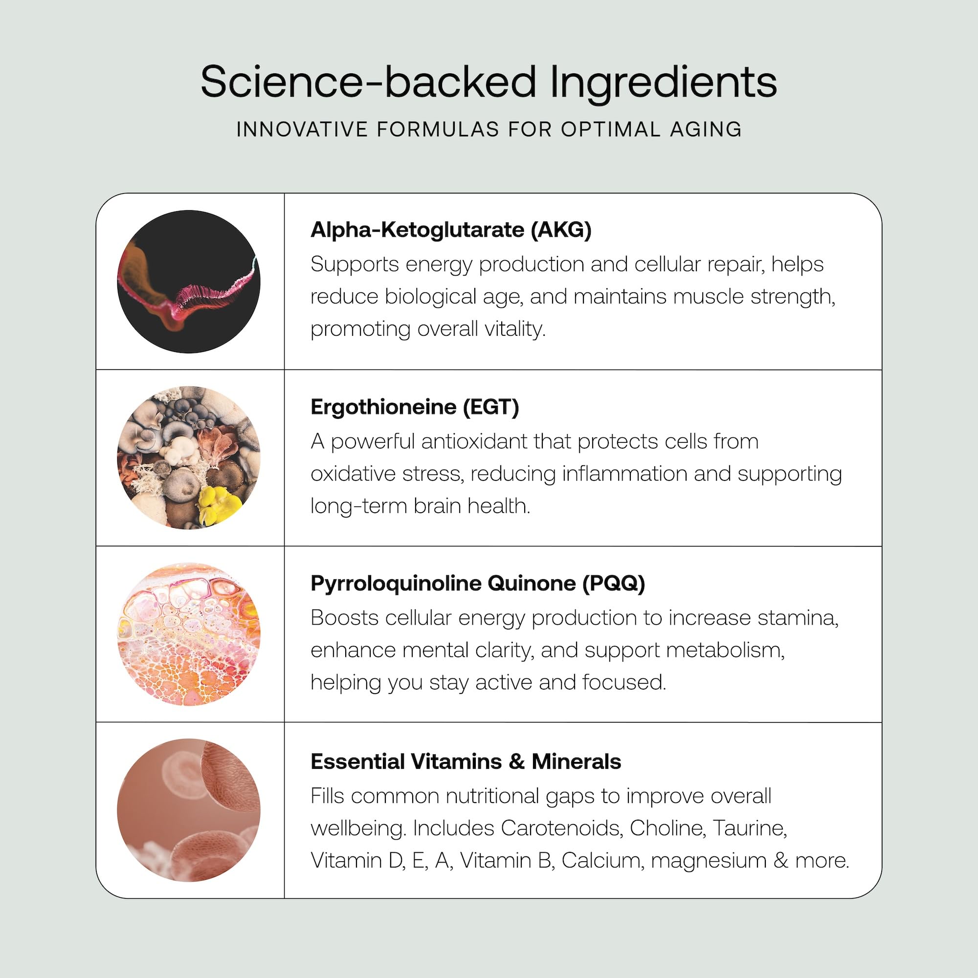 immune support blended vitamin & mineral supplements