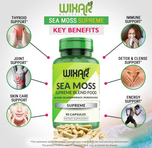 immune support blended vitamin supplements