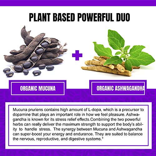 immune support blended vitamins