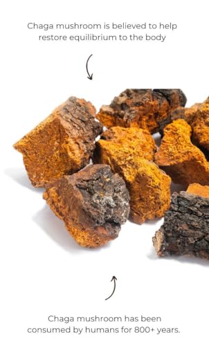 immune support chaga mushroom benefits