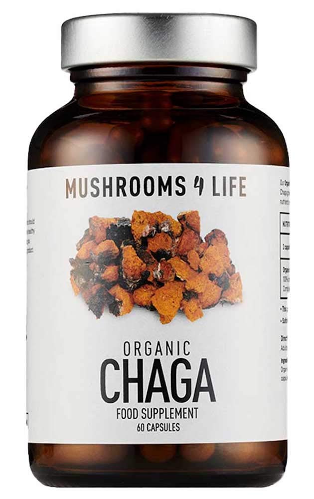 immune support chaga mushroom capsules