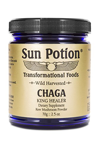 immune support chaga mushroom supplement