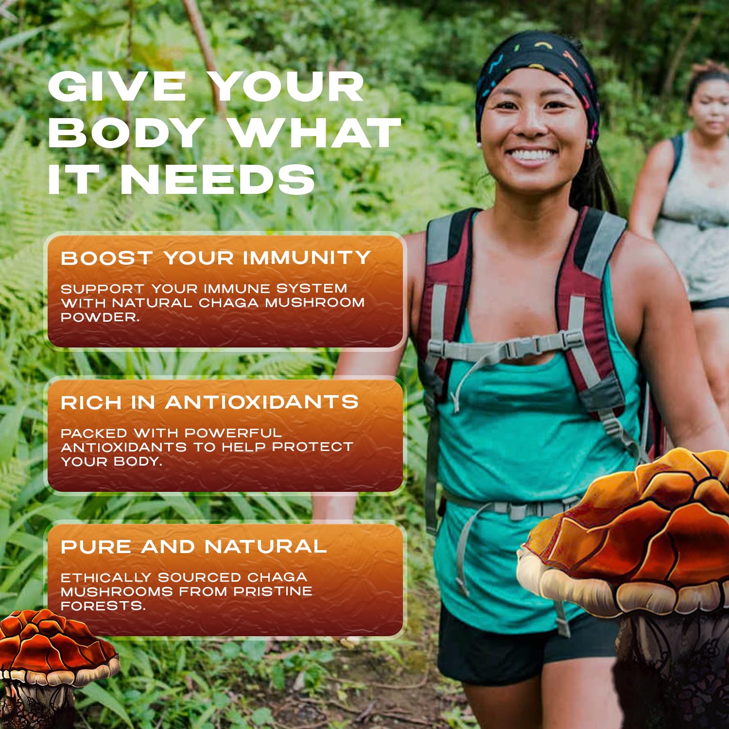 immune support chaga mushrooms