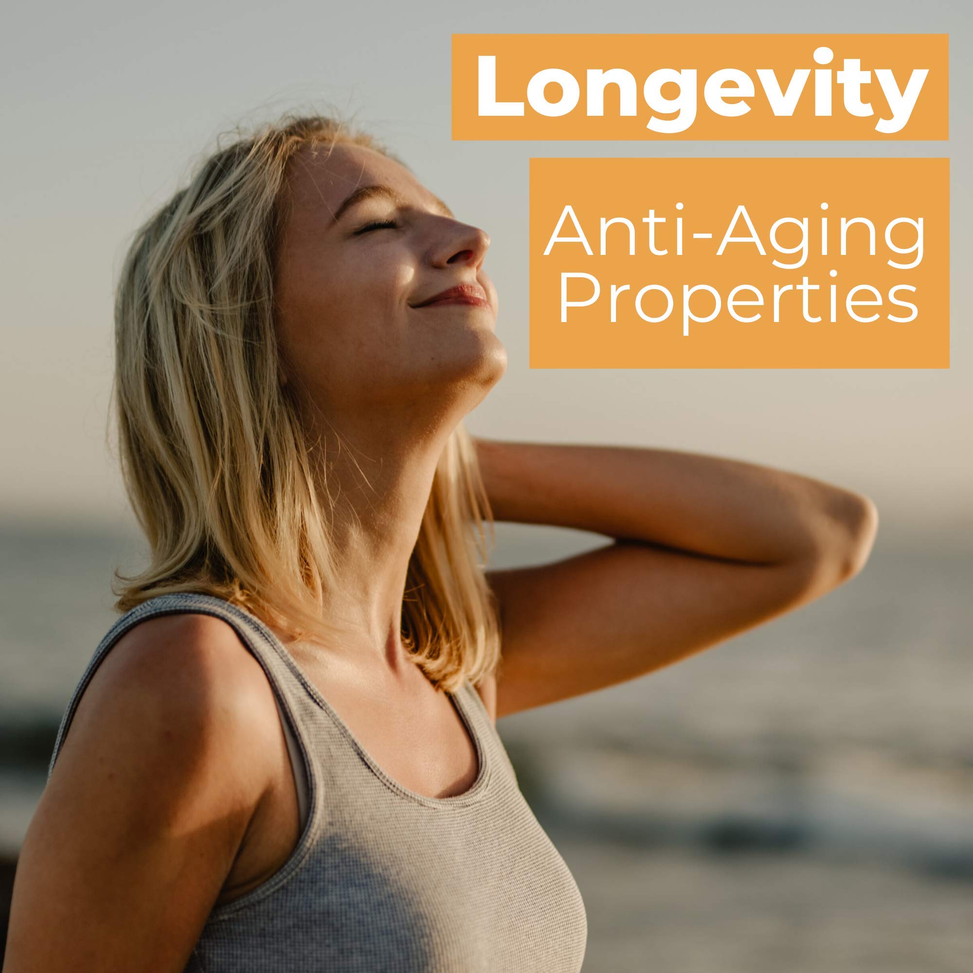immune support cordyceps capsules