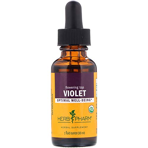 immune support echinacea drops
