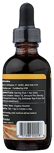 immune support echinacea extract