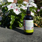 immune support Echinacea syrup