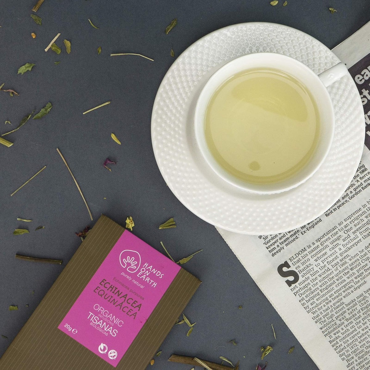 immune support echinacea tea