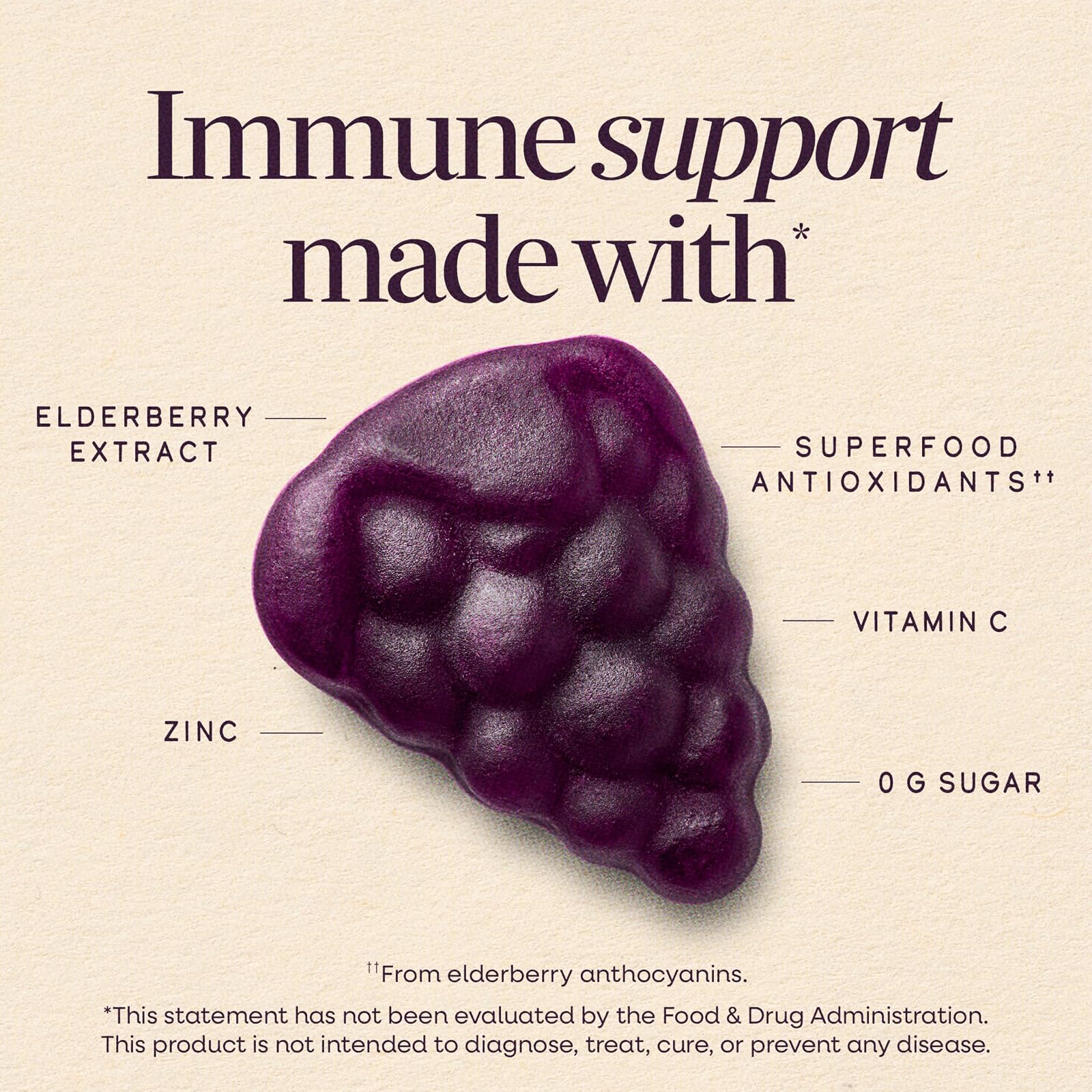 immune support elderberry gummies for children