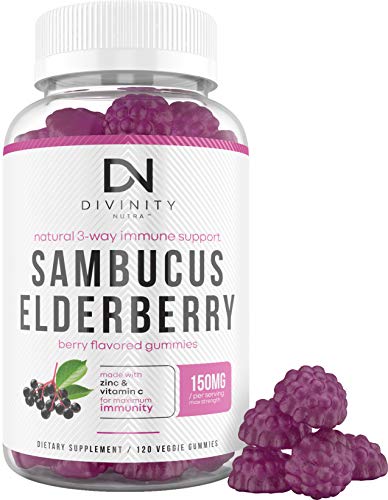 immune support elderberry gummies for kids