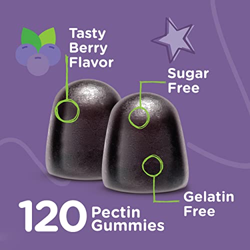 immune support elderberry gummies for kids