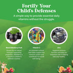 immune support elderberry gummies