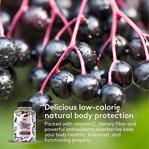 Immune support elderberry gummy supplement