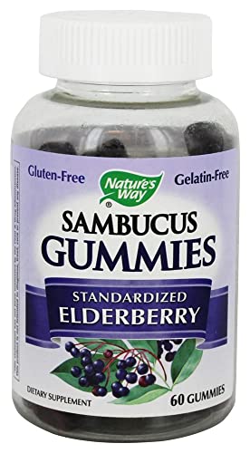 immune support elderberry gummy supplements