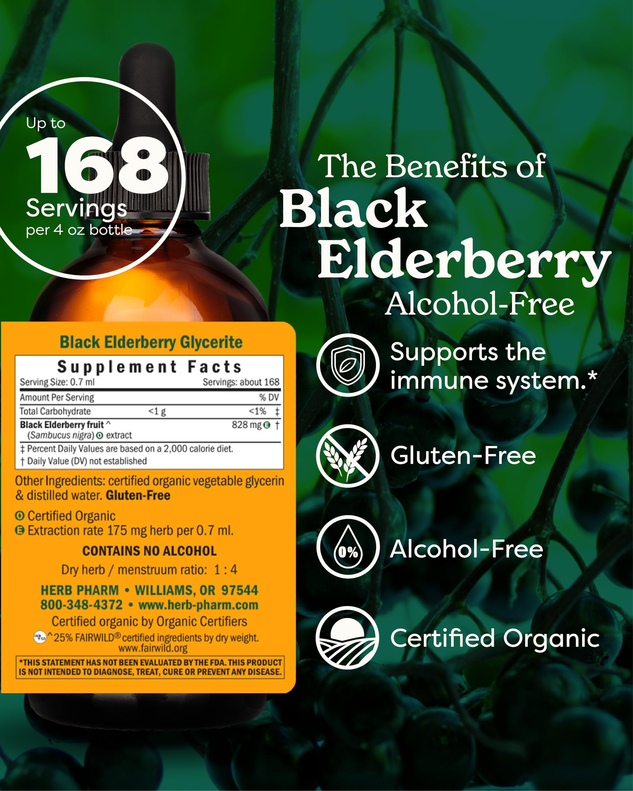 immune support elderberry supplement